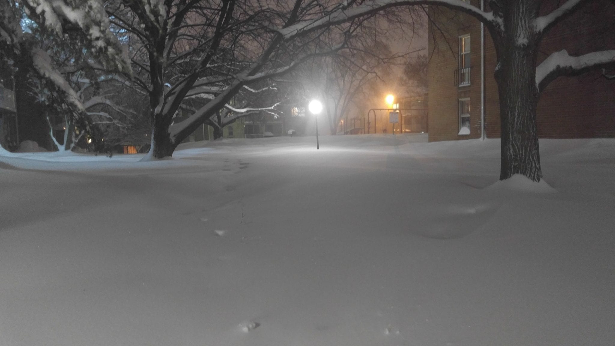 Snowzilla 2016: Falls Church [PHOTOS] - Falls Church News-Press Online