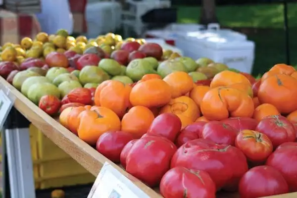 EDA Meeting On Farmers Market Draws Large Crowd - Falls Church News ...